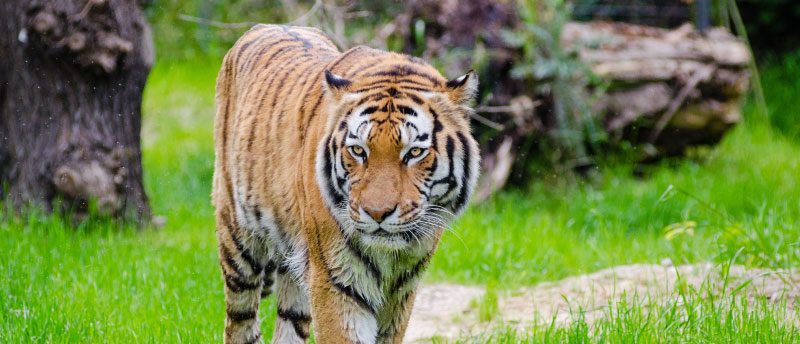 10 of the best wildlife parks in Norfolk - Broads Escapes